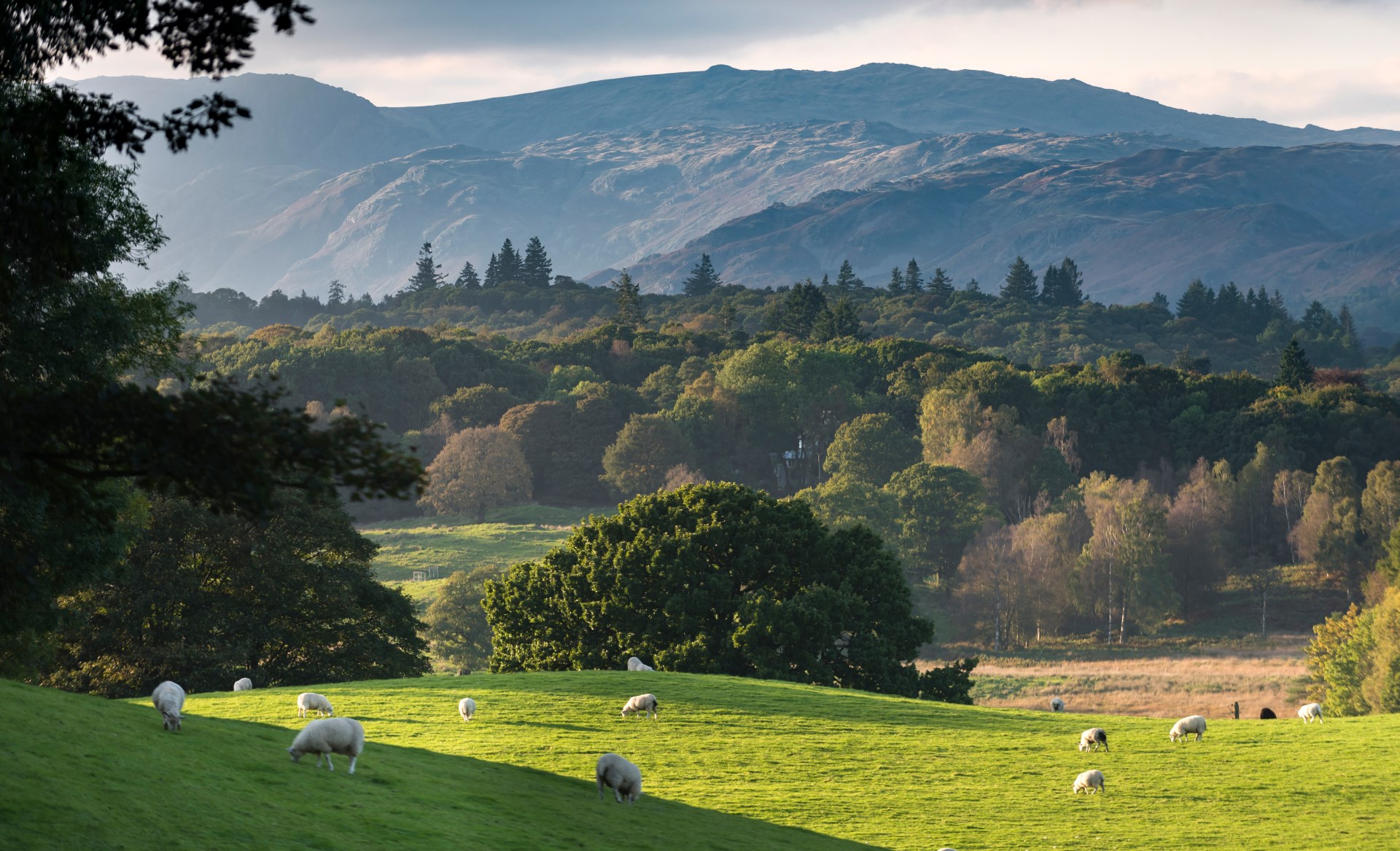 Fix The Fells – Caring for the Lake District’s mountain paths and ...