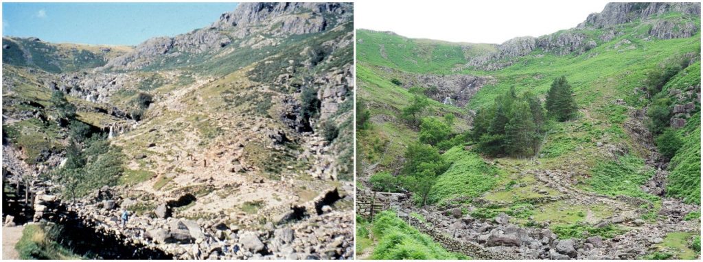 Video and Photo Gallery – Fix The Fells